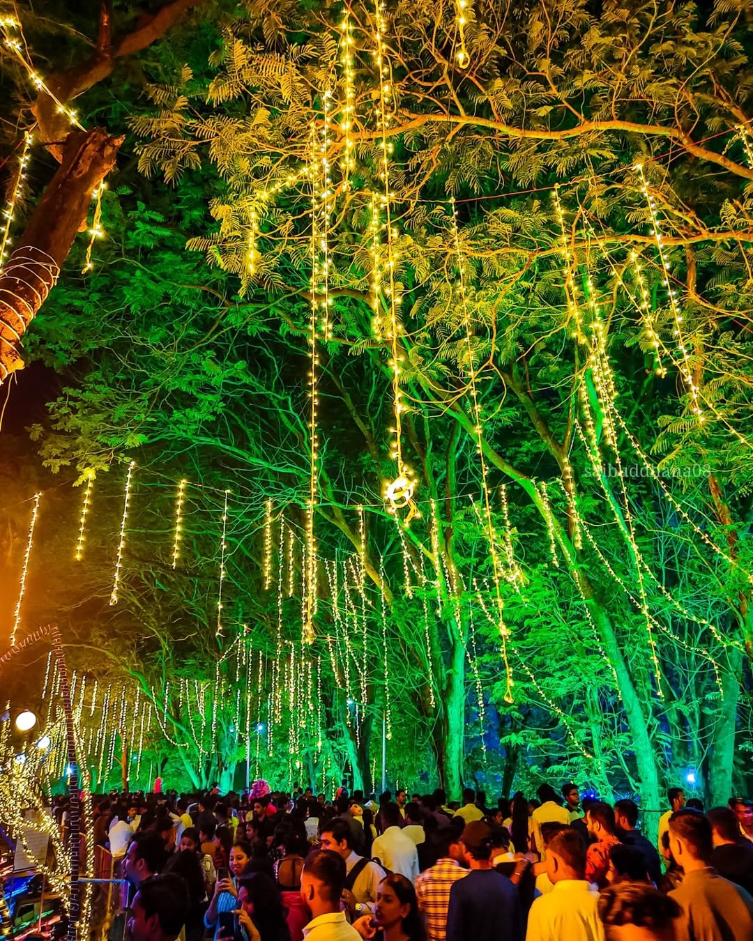 Upvan Lake Festival Thane | New Year 2025
